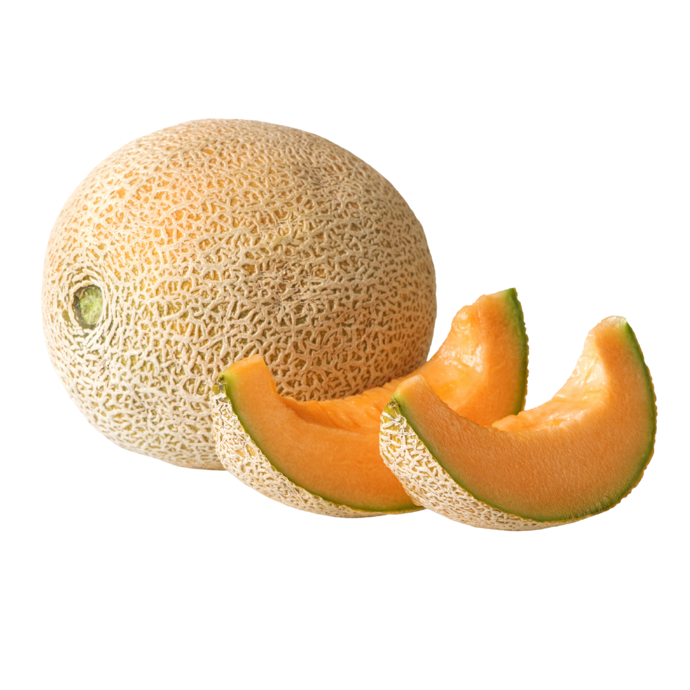 Melón – King Seeds Online