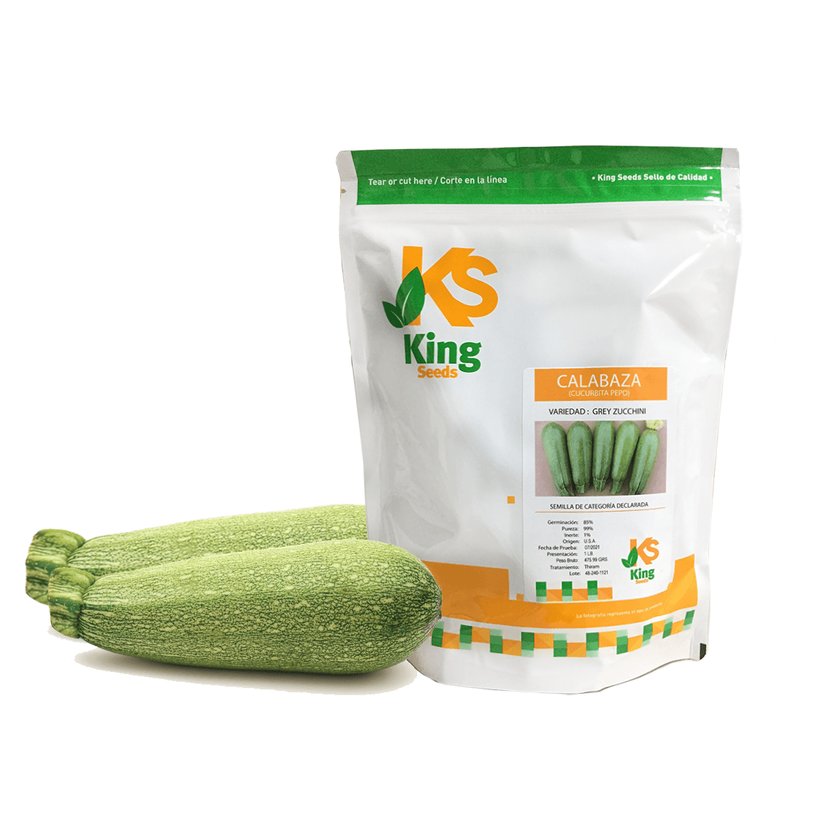 Calabaza Grey Zucchini Sobre de 1 Libra – King Seeds Online