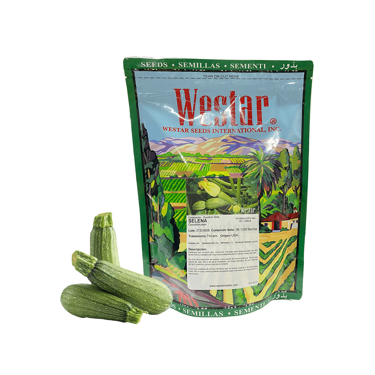 Calabaza Selena Sobre 3 Millares – King Seeds Online