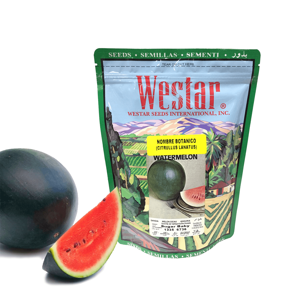 Sandia Sugar Baby Sobre 1 Lb – King Seeds Online
